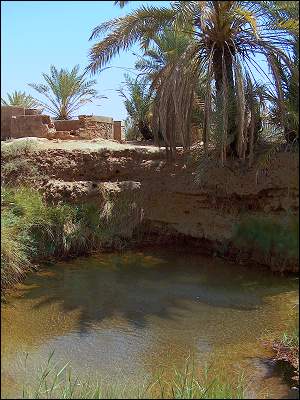Explore Magic Spring - Main Destinations in Egypt : The Deserts and ...