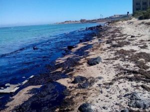 Tourism in Ras Ghareb Port - Main Destinations in Egypt : Travelling to ...