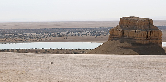 Protectorado de Wadi Al-Assiut - Egypt Natural Reserves : Reservas ...